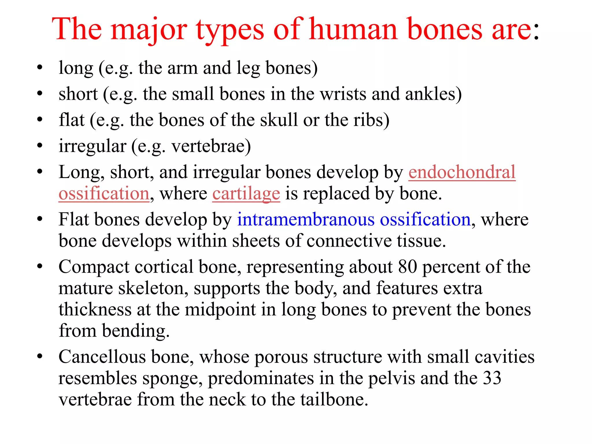 Age estimation by bones | PPTX