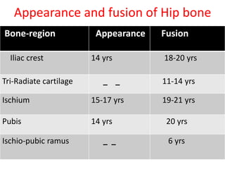 Pubic Symphysis Age Determination