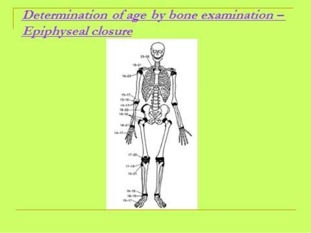 Age estimation by bones