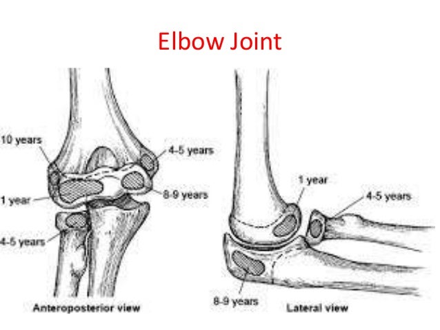 Age estimation by bones