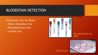 Age Estimation From Bloodstain.pptx