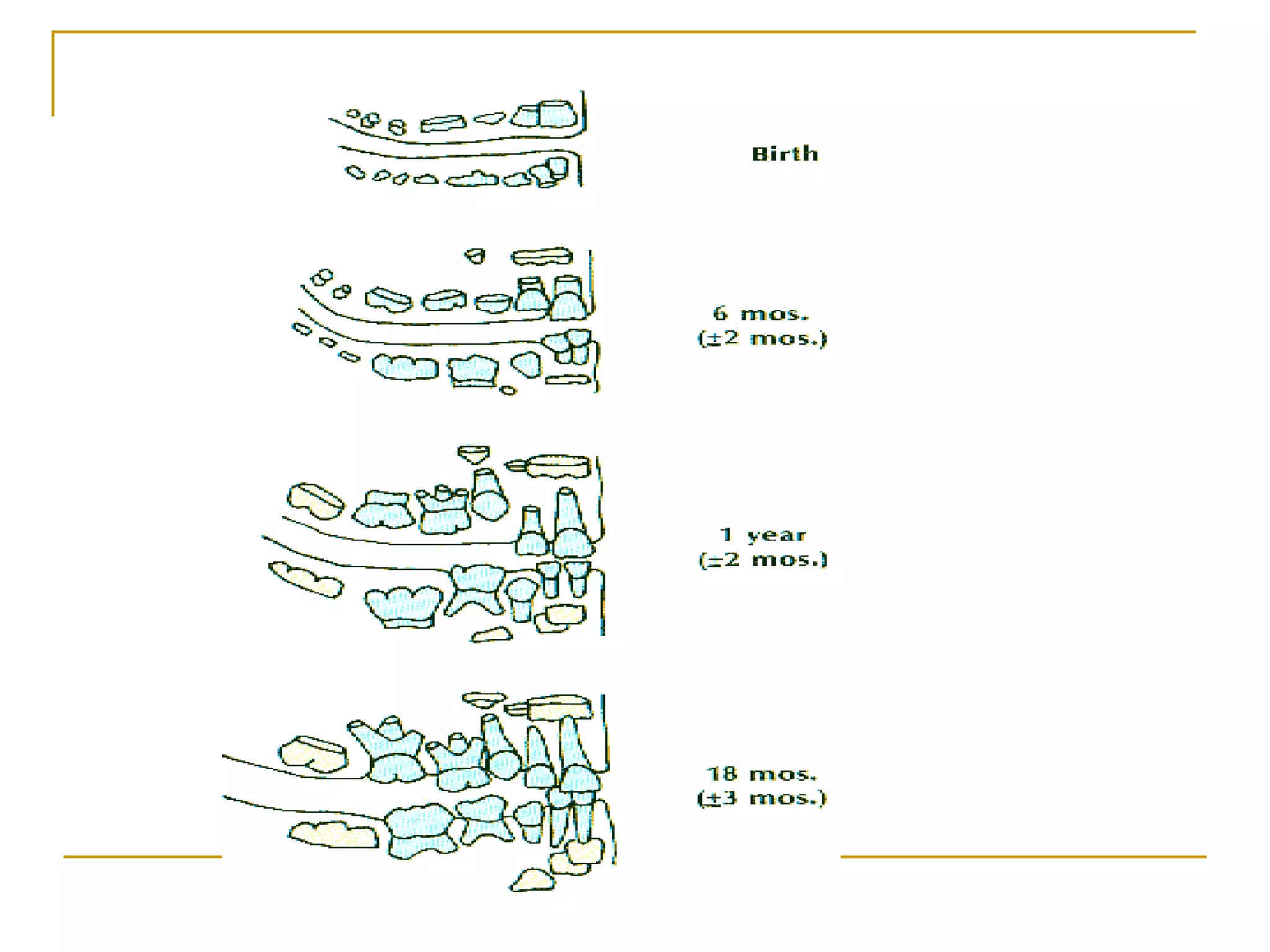 Age Estimation In Forensic Odontology Ppt