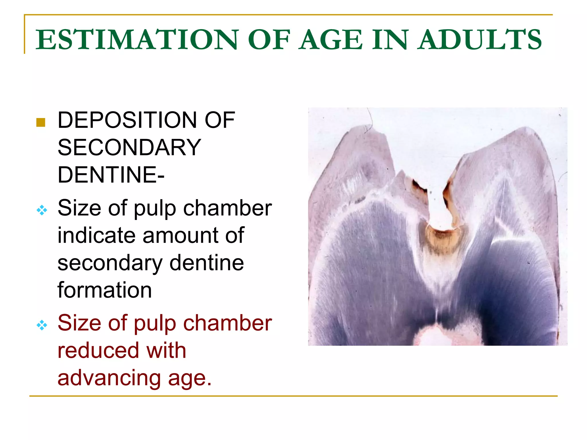 AGE ESTIMATION IN FORENSIC ODONTOLOGY.ppt