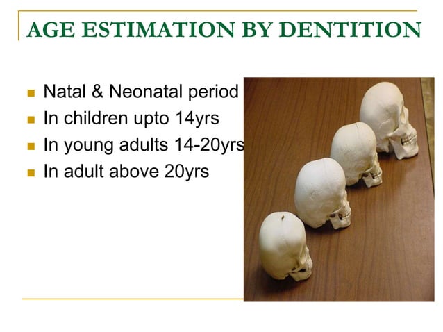 Age Estimation In Forensic Odontology Ppt