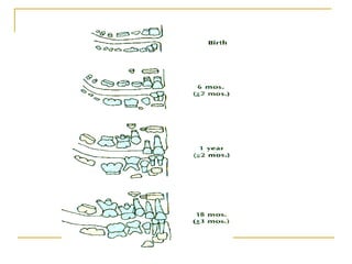 AGE ESTIMATION IN FORENSIC ODONTOLOGY.ppt