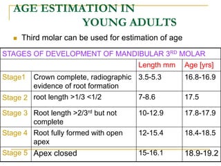AGE ESTIMATION IN FORENSIC ODONTOLOGY.ppt