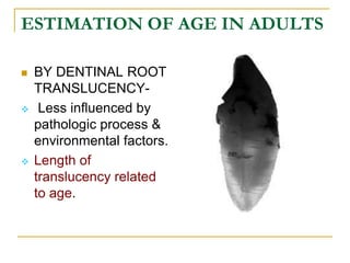 AGE ESTIMATION IN FORENSIC ODONTOLOGY.ppt