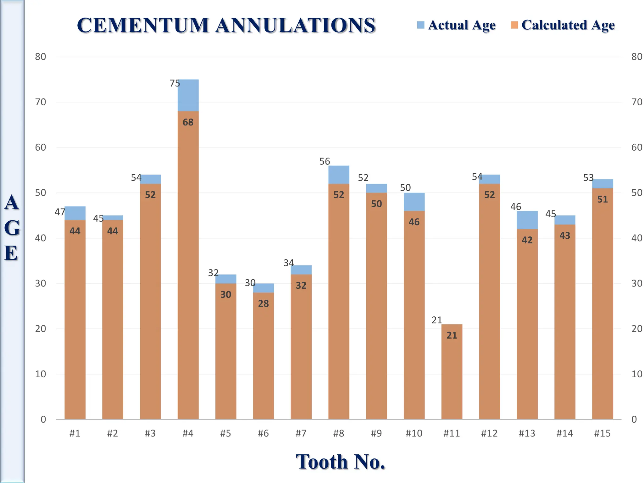 AGE_ESTIMATION_USING_CEMENTUM_ANNULATION.pptx