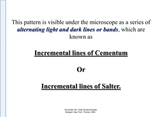 AGE_ESTIMATION_USING_CEMENTUM_ANNULATION.pptx