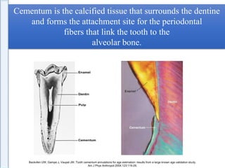AGE_ESTIMATION_USING_CEMENTUM_ANNULATION.pptx