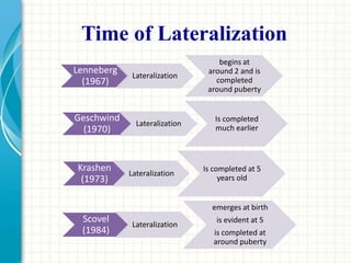 Age and language acquisition | PPTX