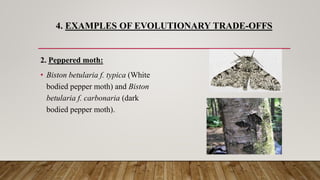 Ageing and evolutionary trade offs | PPT