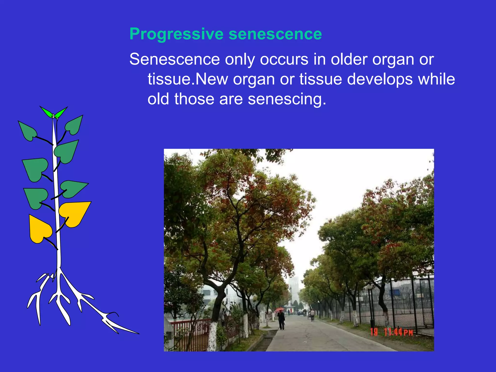 Ageing and senescence | PPT