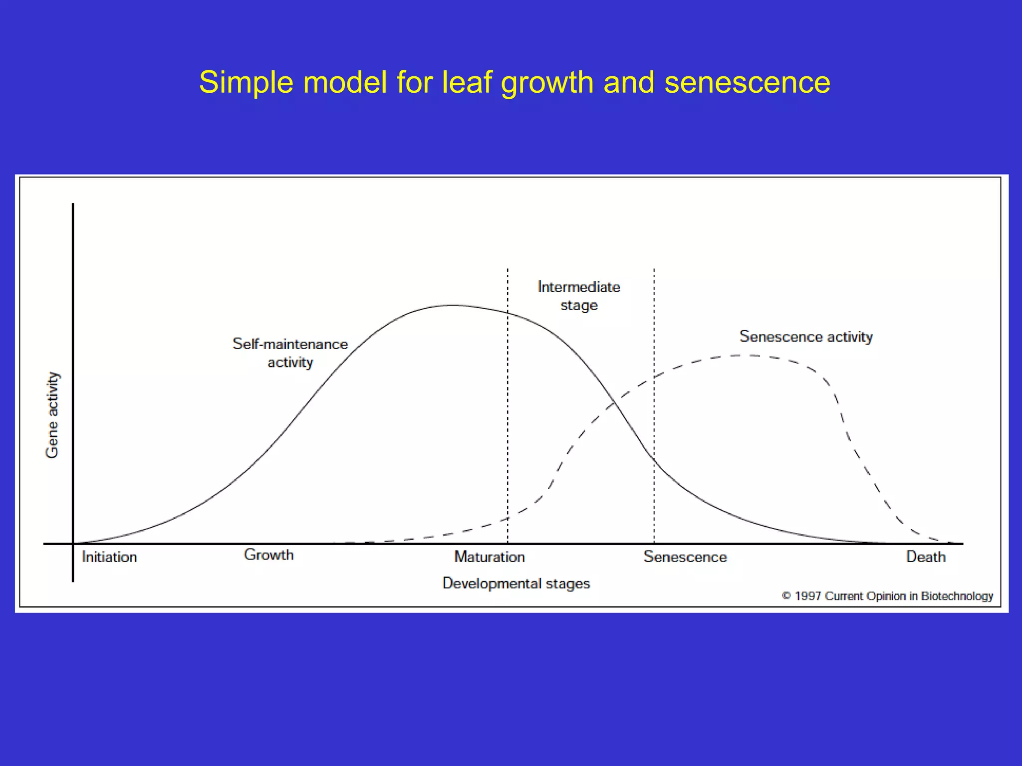 Ageing and senescence | PPT
