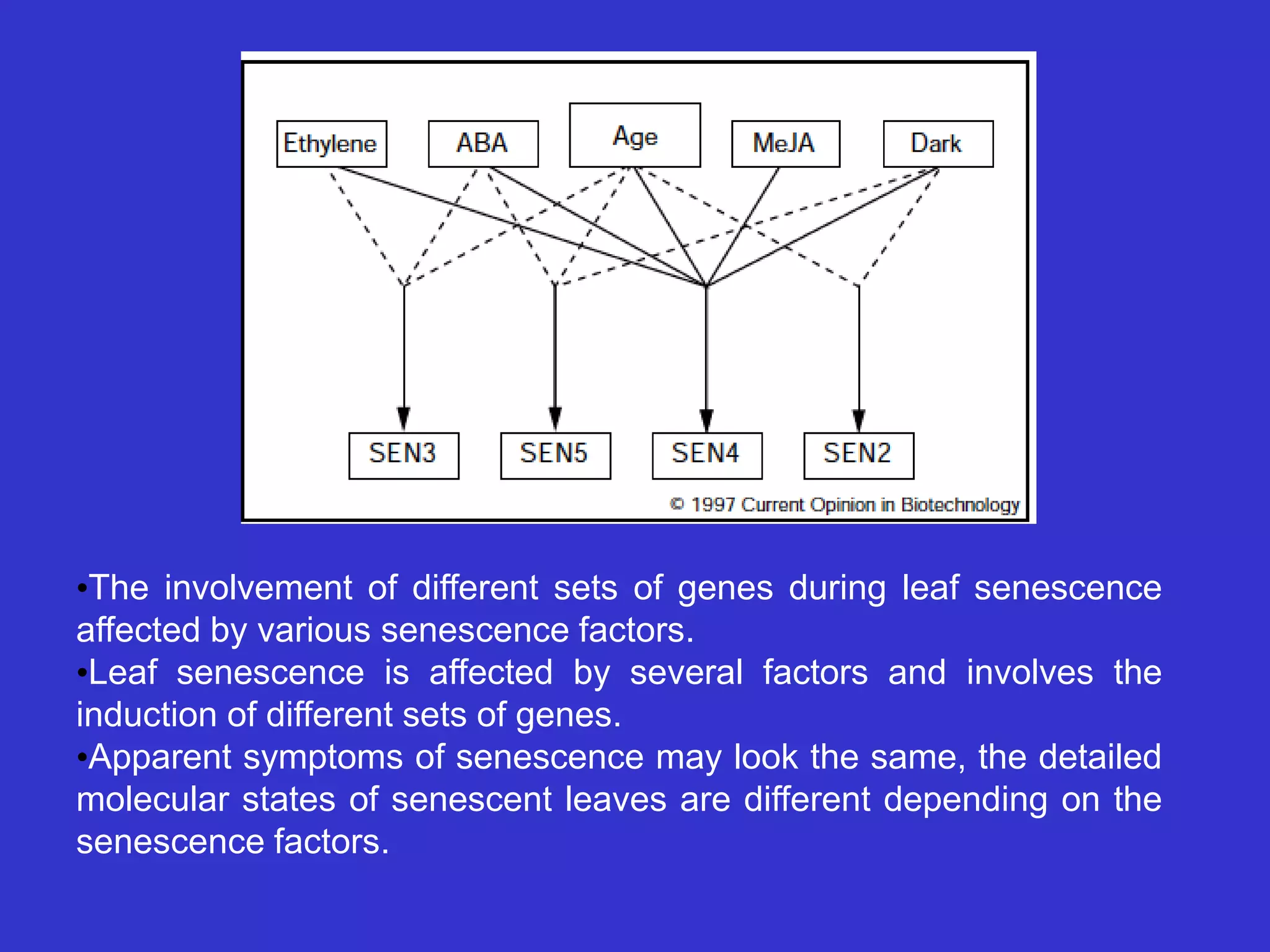 Ageing and senescence | PPT