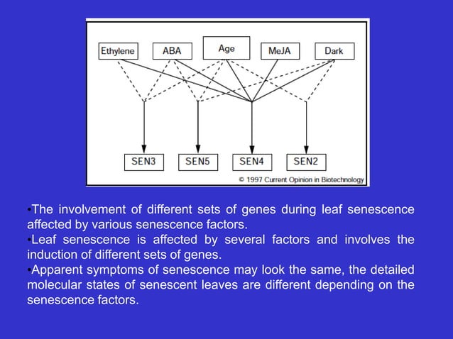 Ageing and senescence | PPT