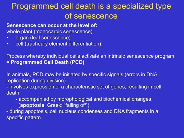 Ageing and senescence | PPT