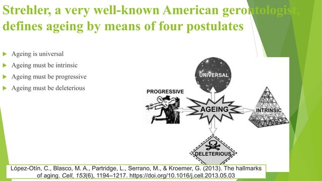 ageing final.pptx