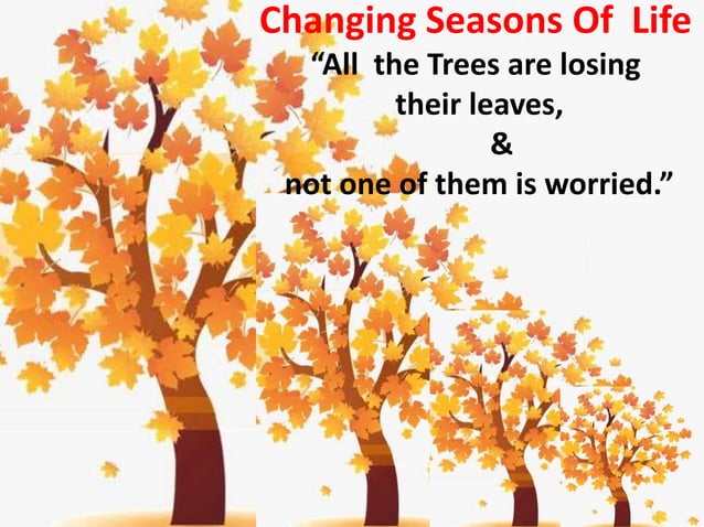 AGEING GRACEFULLY !! Back to Basics Dr. Sharda Jain | PPTX | Menopause ...
