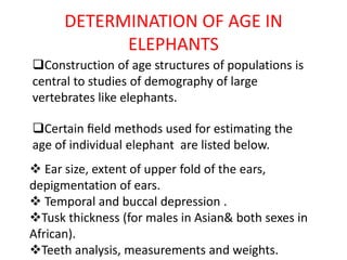Ageing in elephants | PPTX