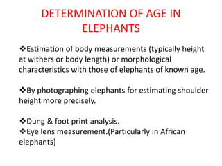 Ageing in elephants | PPTX