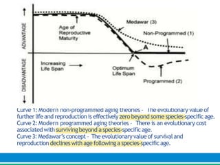 AGEING POPULATION in the university presentations .pptx | Eldercare ...
