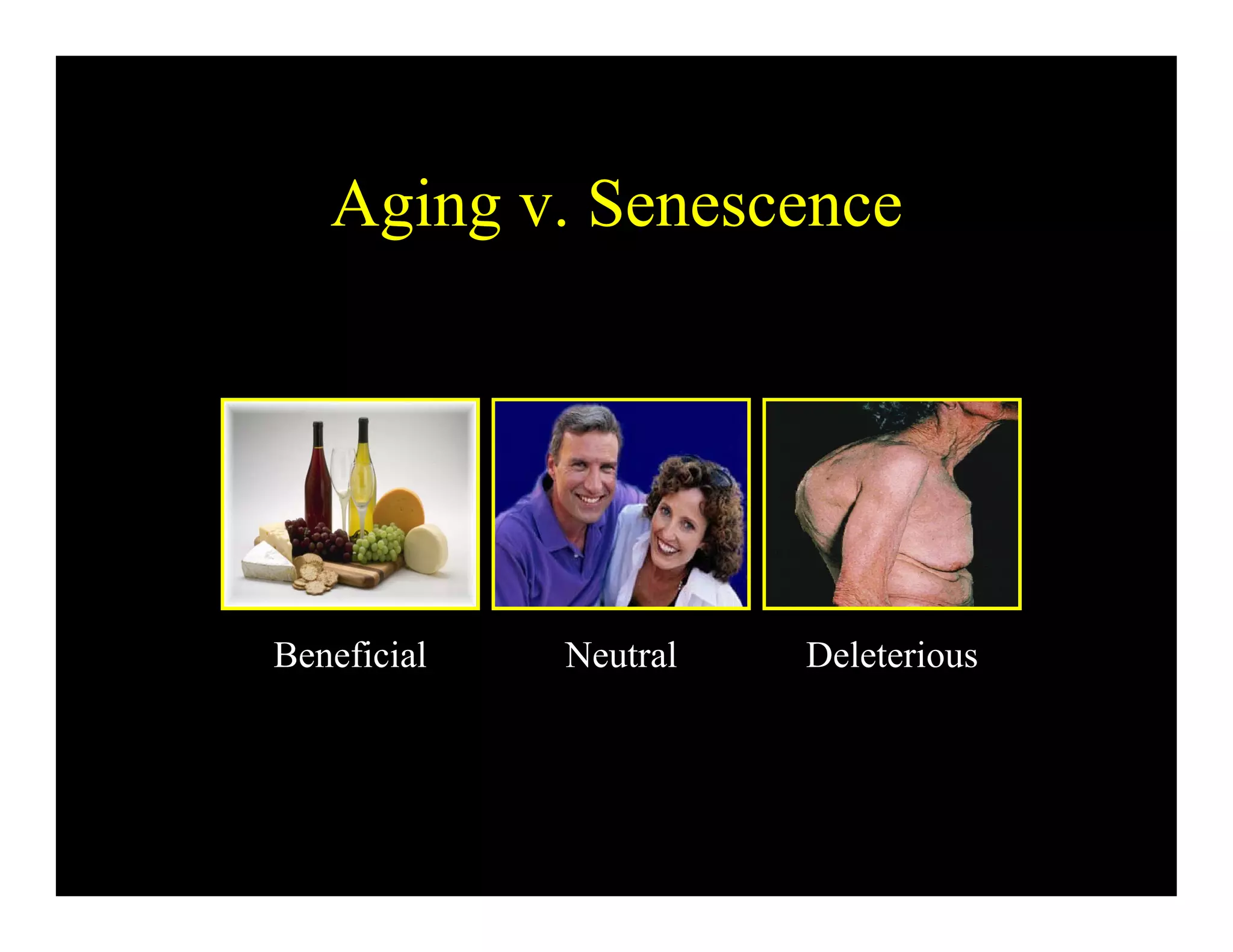 ageing ppt.pdf