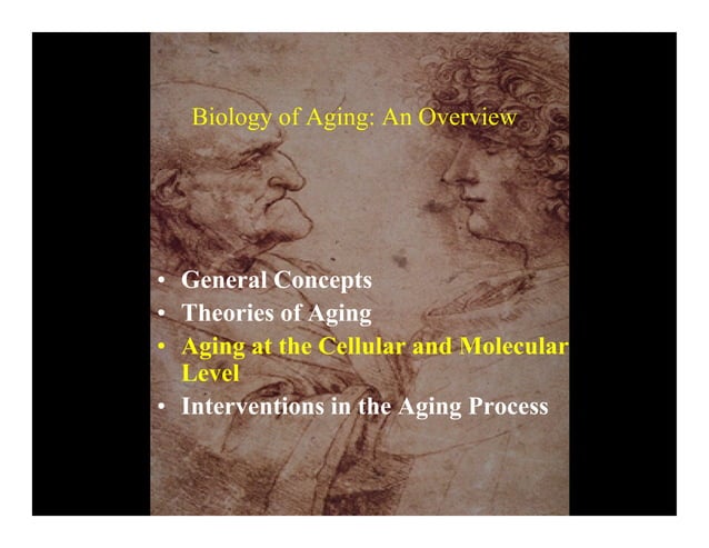 ageing ppt.pdf