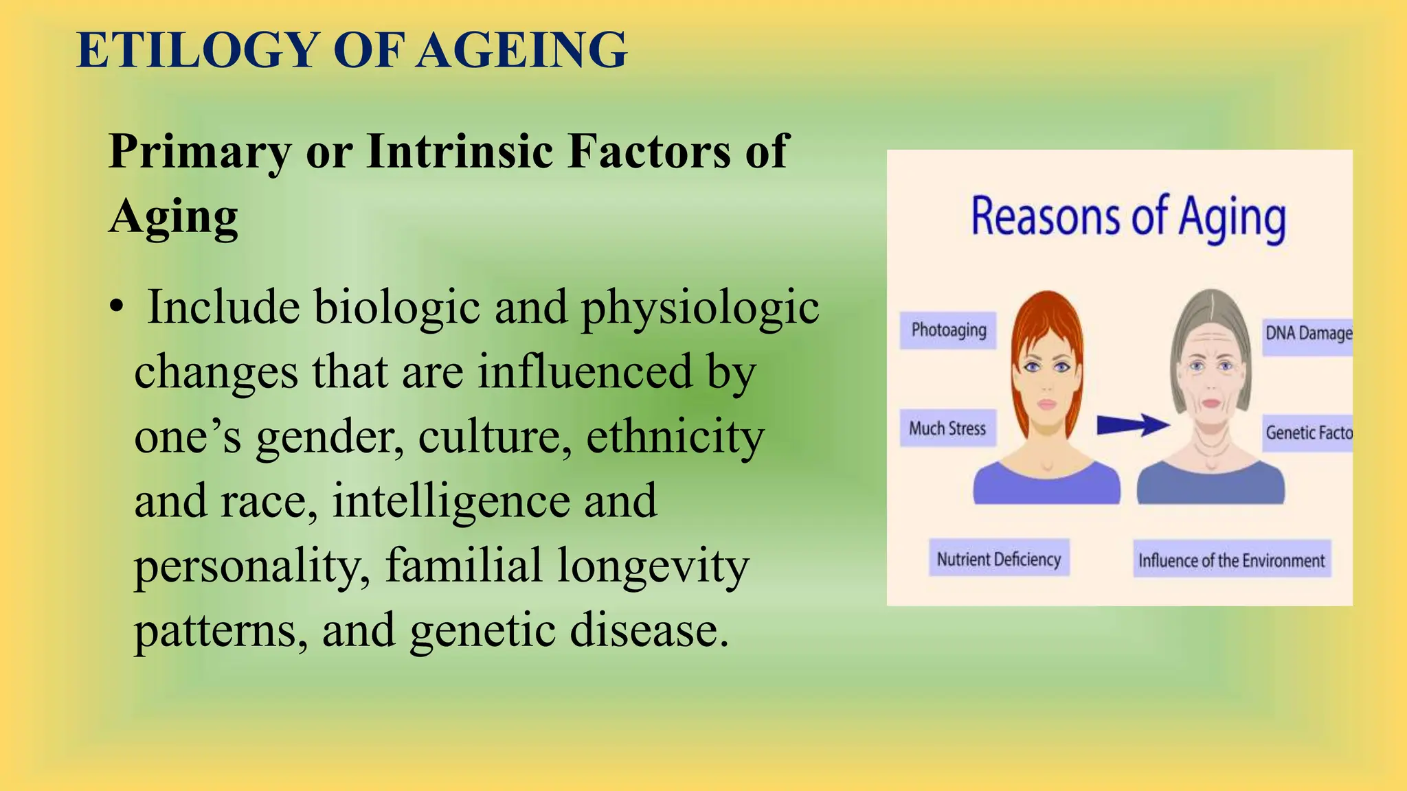 Ageing ppt Final.ppt for nursing ,Happy ageing | PPTX