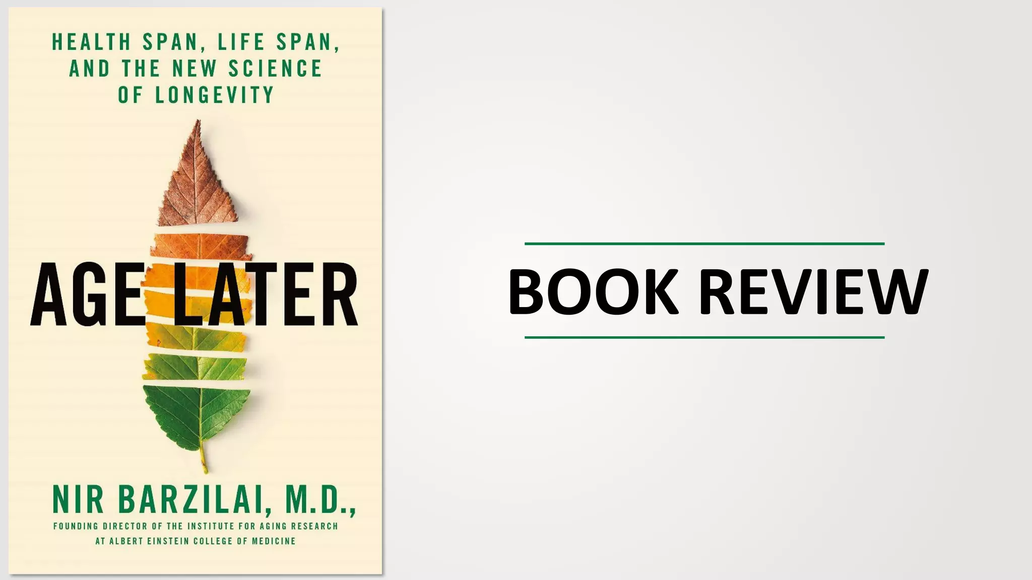Age later book summary | PDF