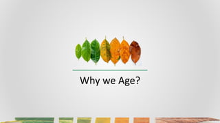 Age later book summary | PPT