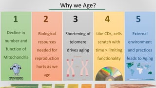 Age later book summary | PPT