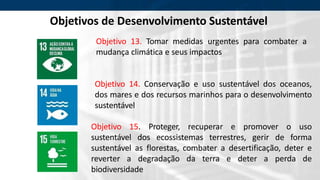 AGENDA 2030 ODS.pptx