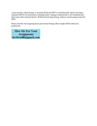 A gene product called Smaug- is essential during the MZT to translatio.pdf