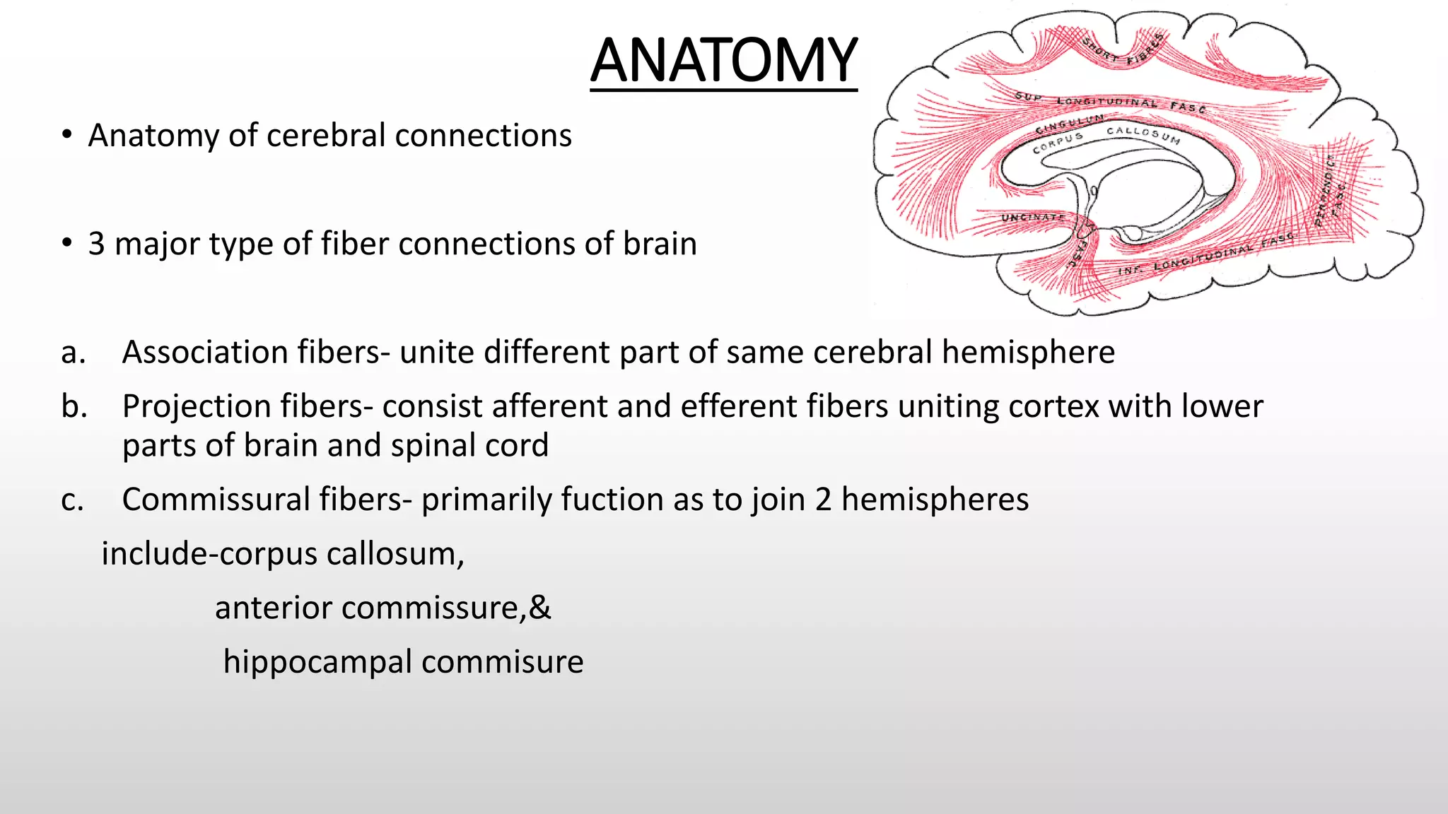 Agenesis of corpus callosum | PPTX