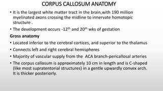 Agenesis of corpus callosum | PPTX