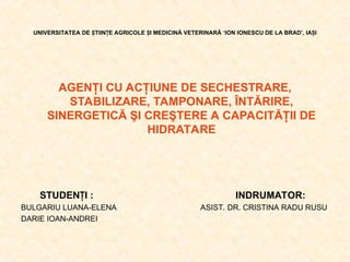 AGENŢI-CU-ACŢIUNE-DE-SECHESTRARE.ppt..... | PPT