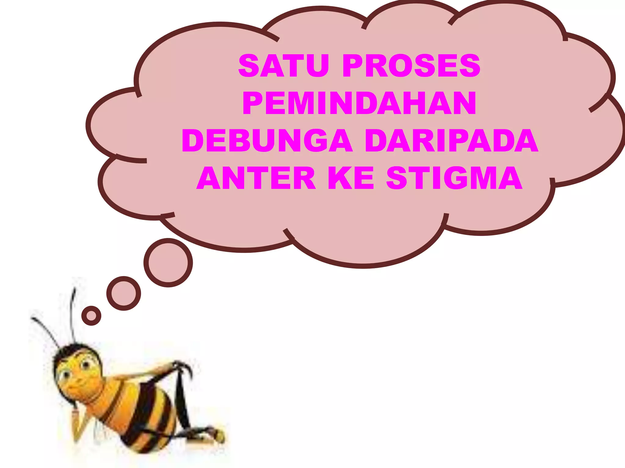 Agen pendebungaan | PPTX