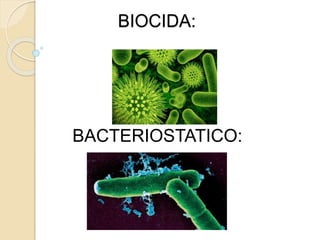 Agentes antimicrobianos | PPTX