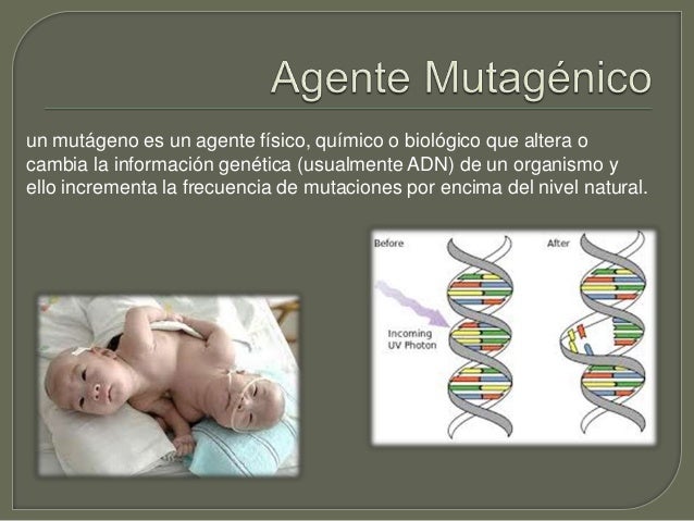 Agentes mutagénicos