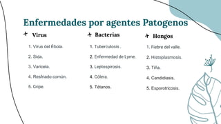 agentes patogenos.pptx