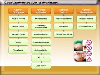 Agentes teratógenos | PPTX