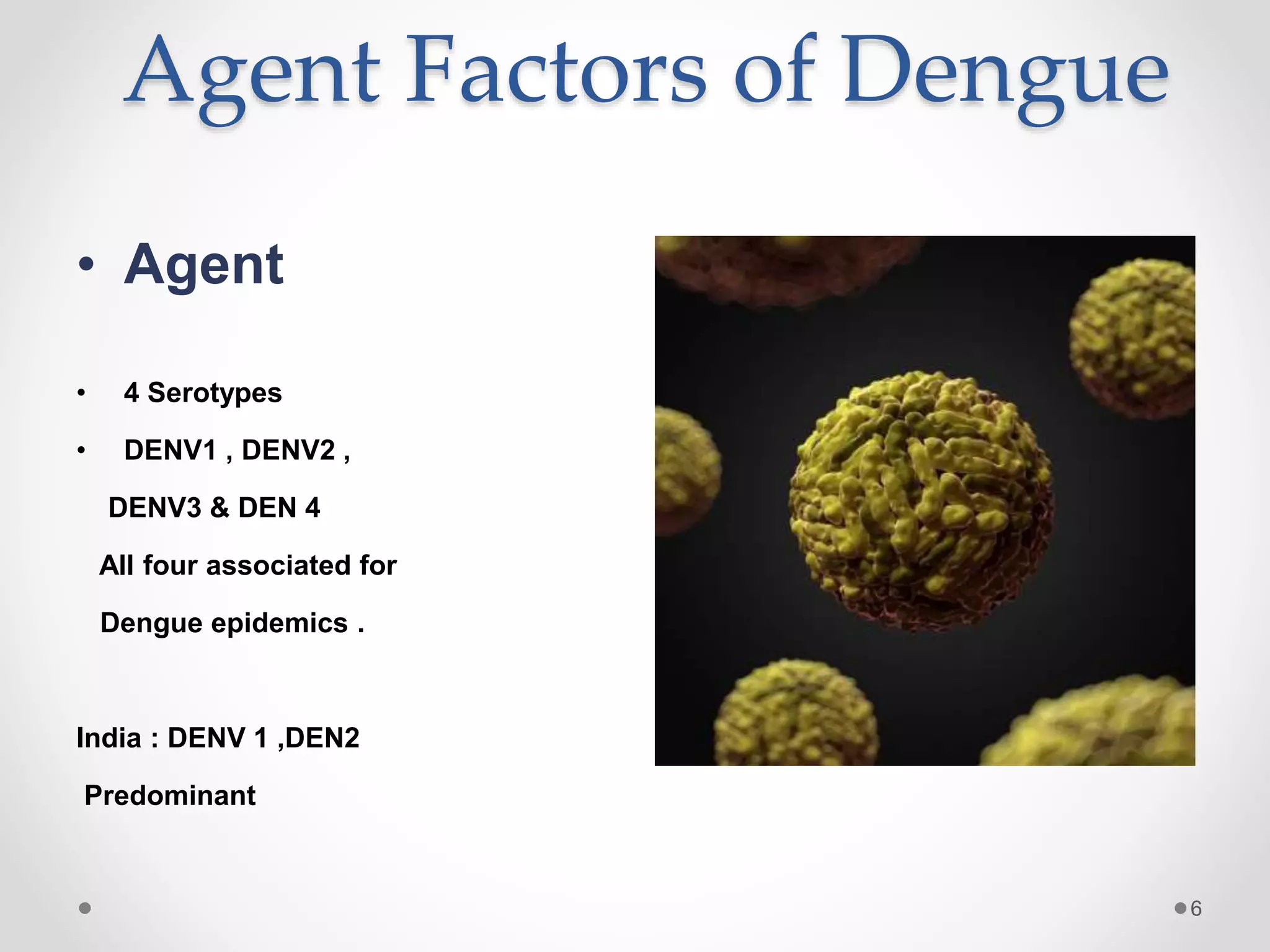 Agent factors of dengue- topic for 15 min pedagogy | PPT