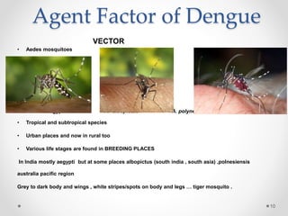 Agent factors of dengue- topic for 15 min pedagogy | PPTX | Infectious ...
