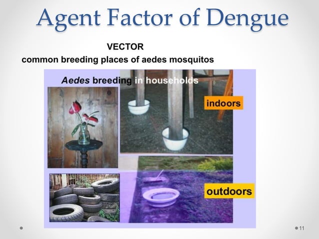 Agent factors of dengue- topic for 15 min pedagogy | PPTX | Infectious ...