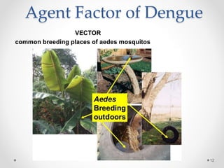 Agent factors of dengue- topic for 15 min pedagogy | PPTX | Infectious ...