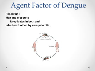 Agent factors of dengue- topic for 15 min pedagogy | PPTX | Infectious ...