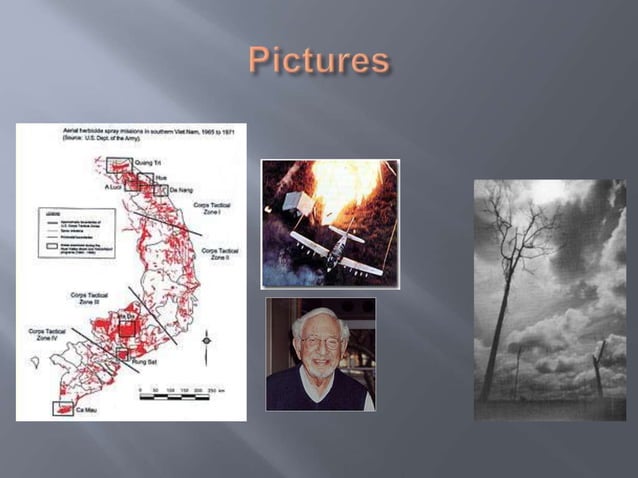 Agent orange and its devastating effects | PPTX | Zoos & Aquariums ...