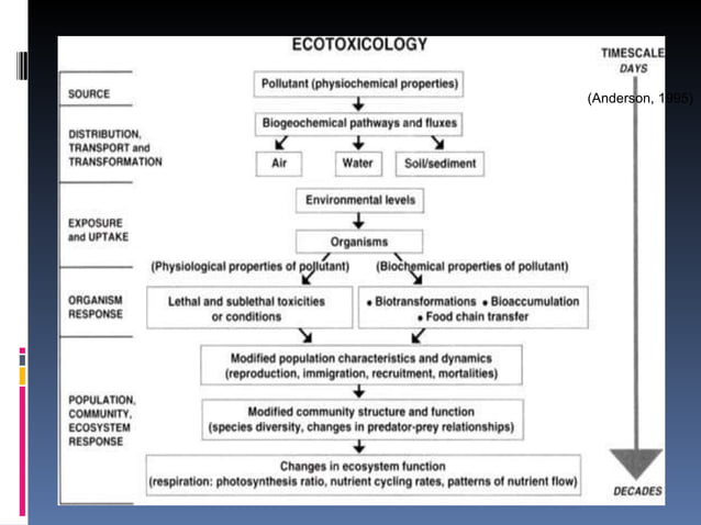 host agent environment bidang perhotelan.ppt