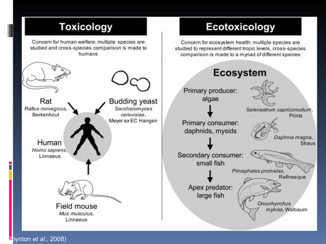 agent host environment around human life | PPT